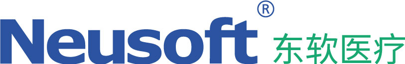 Neusoft - Wibu-Systems