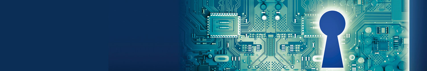 Embedded Security - Wibu-Systems